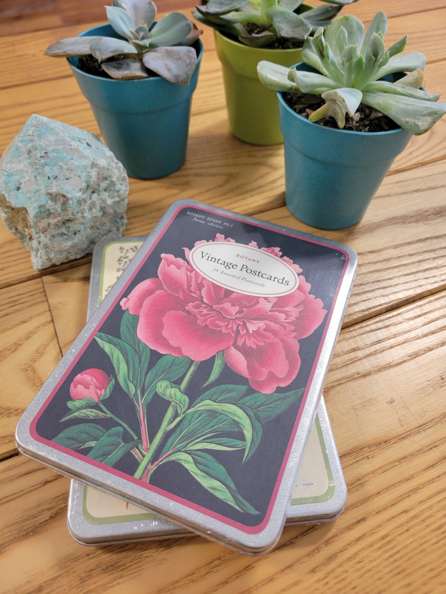 Botanica Vintage Postcard Tin - Briar and Bone