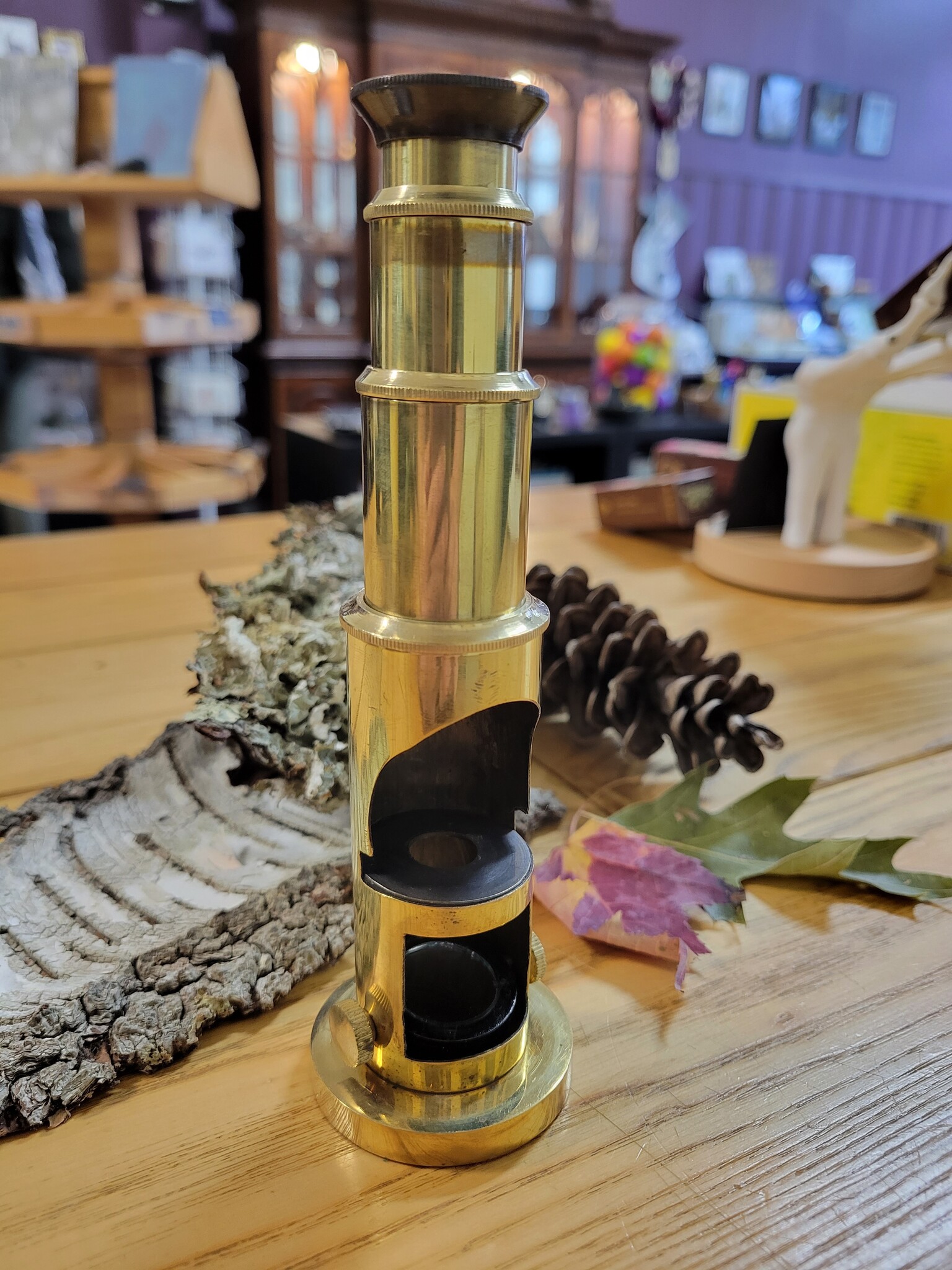 Portable Brass Field Microscope - Briar and Bone