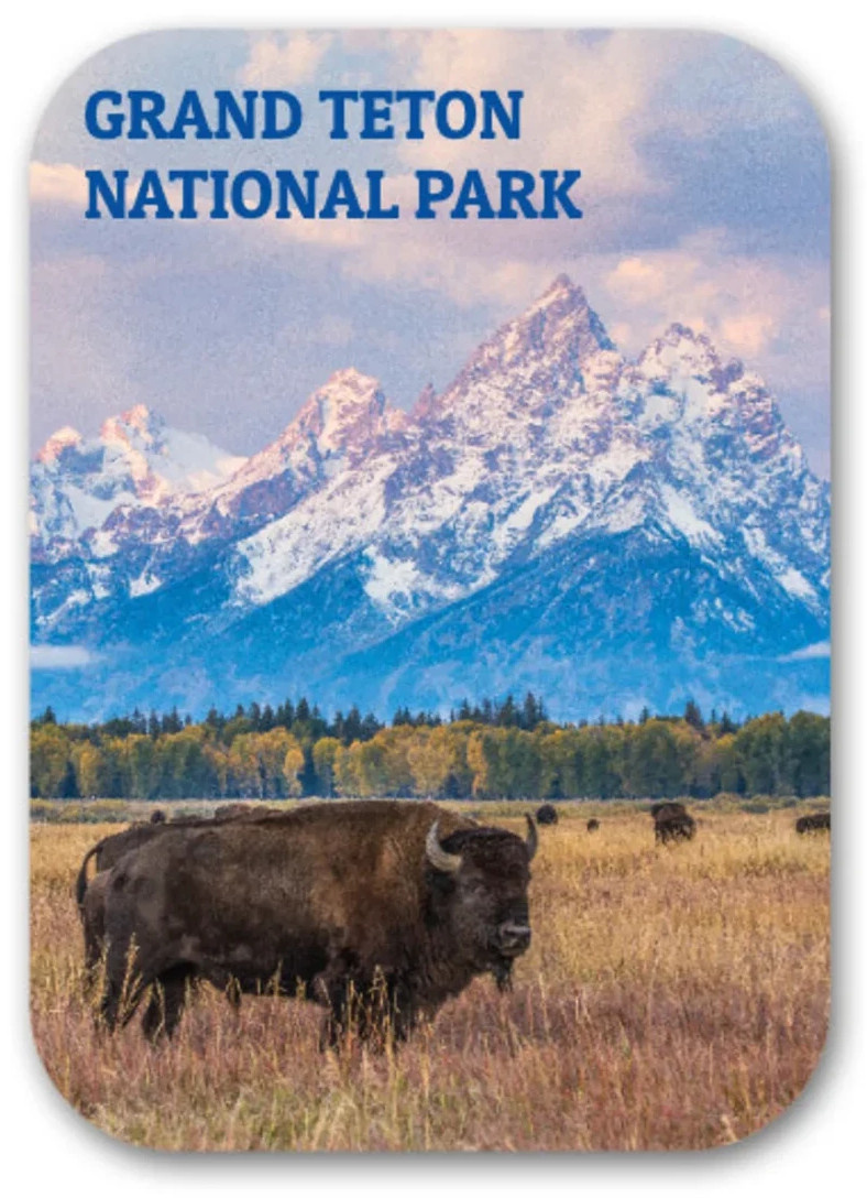 GTNP AUTUMN BISON MAGNET IMAGE 3 - Grand Teton Association