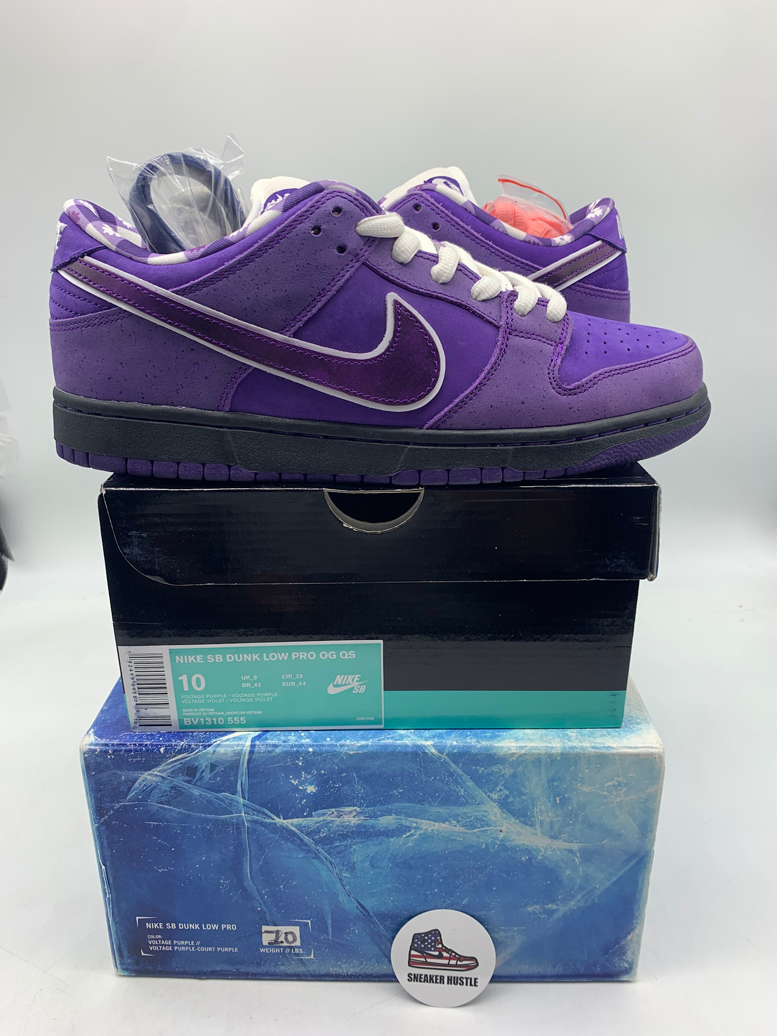 Nike SB Dunk Low Concepts Purple Lobster (Special Box) - Sneaker Hustle