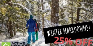 Active Endeavors - Active Endeavors