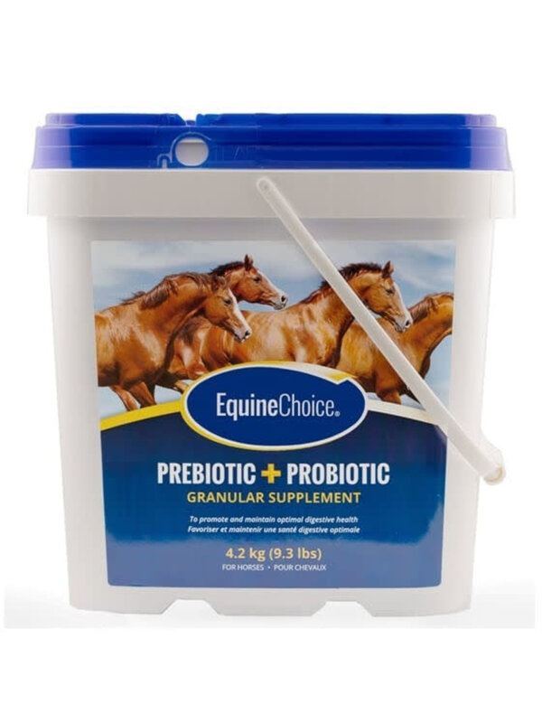 Equine Choice - Rocking Horse Industries