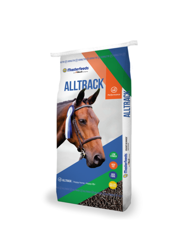 Equine - Rocking Horse Industries