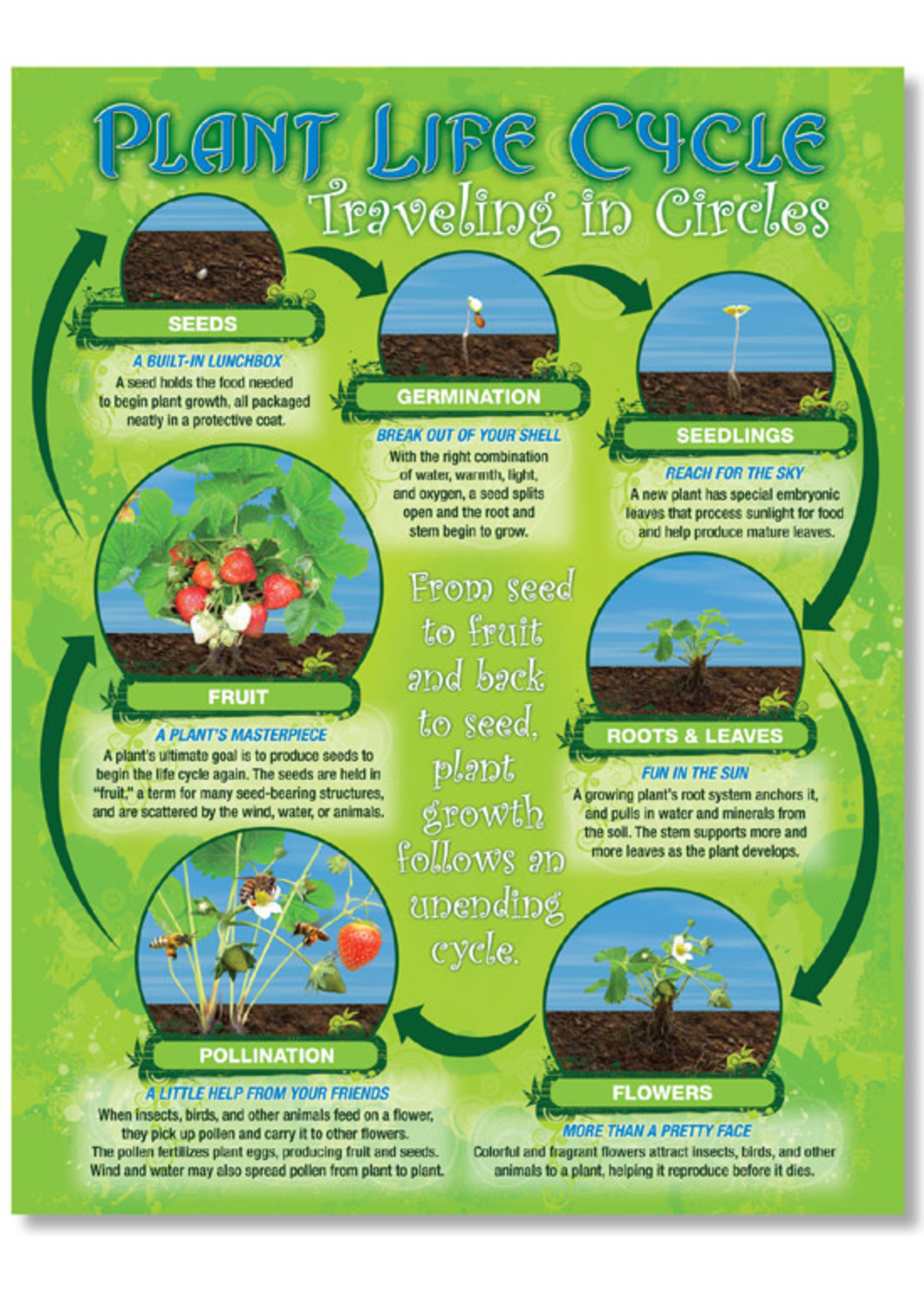CHT PLANT LIFE CYCLE - Educational Outfitters