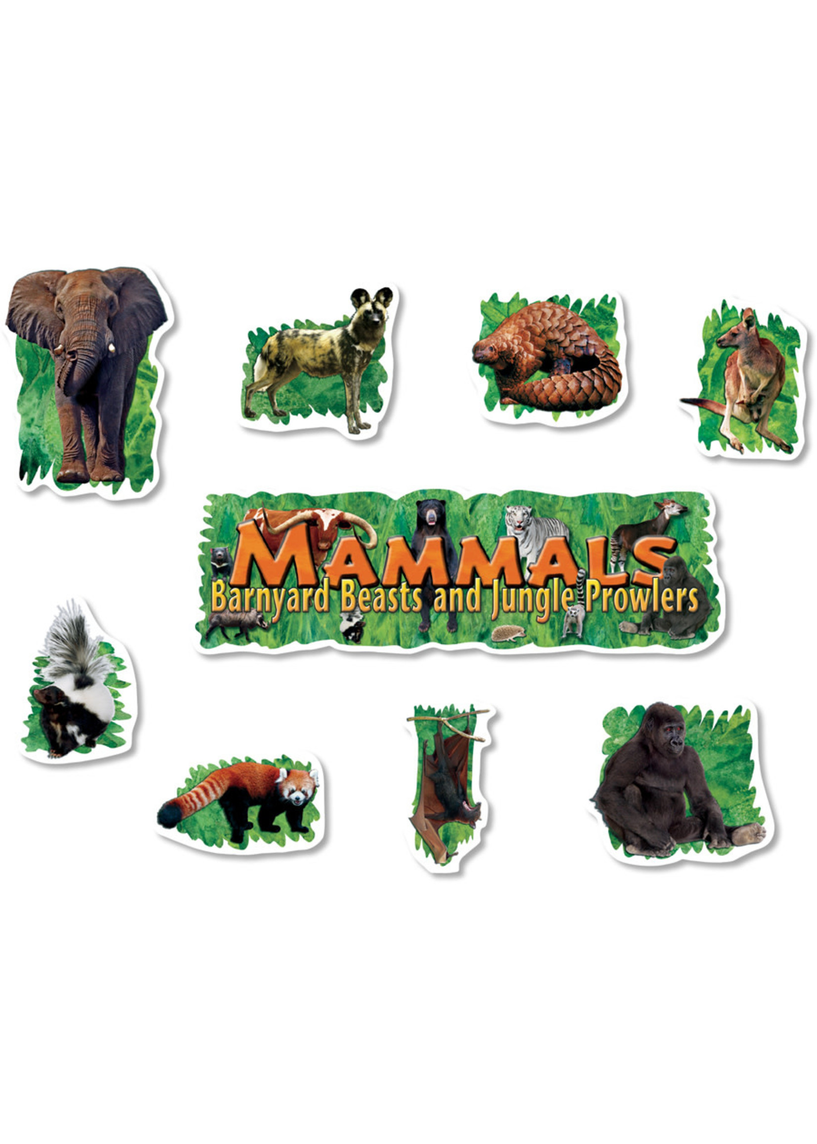 BBS LAND MAMMALS MINI - Educational Outfitters