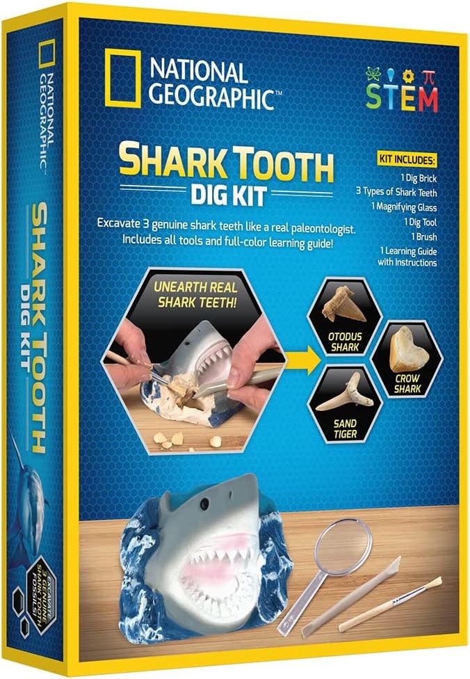 SHARK TOOTH DIG KIT - Educational Outfitters