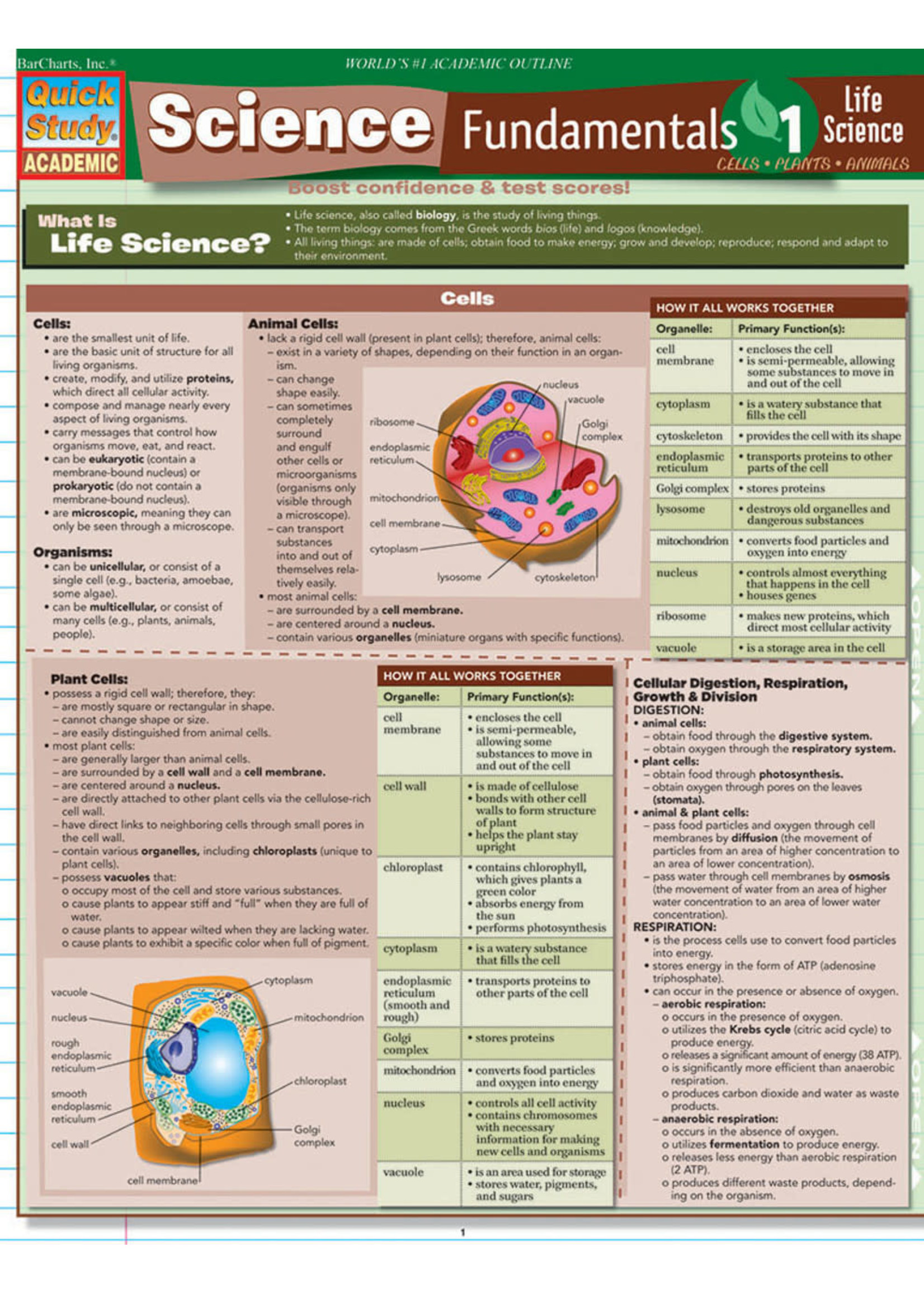 FUNDAMENTALS 1 SCIENCE - Educational Outfitters