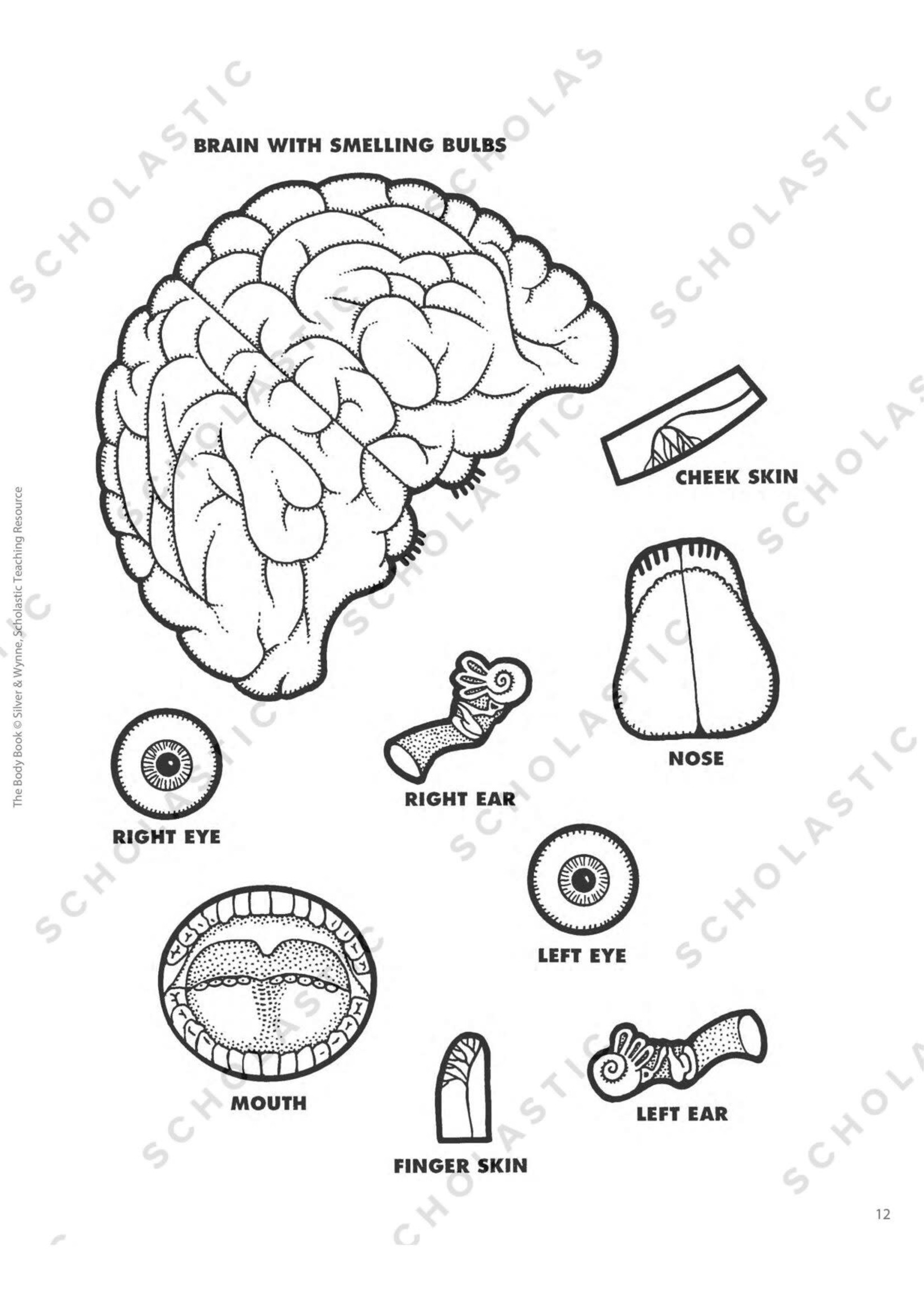 BODY BOOK REV - Educational Outfitters