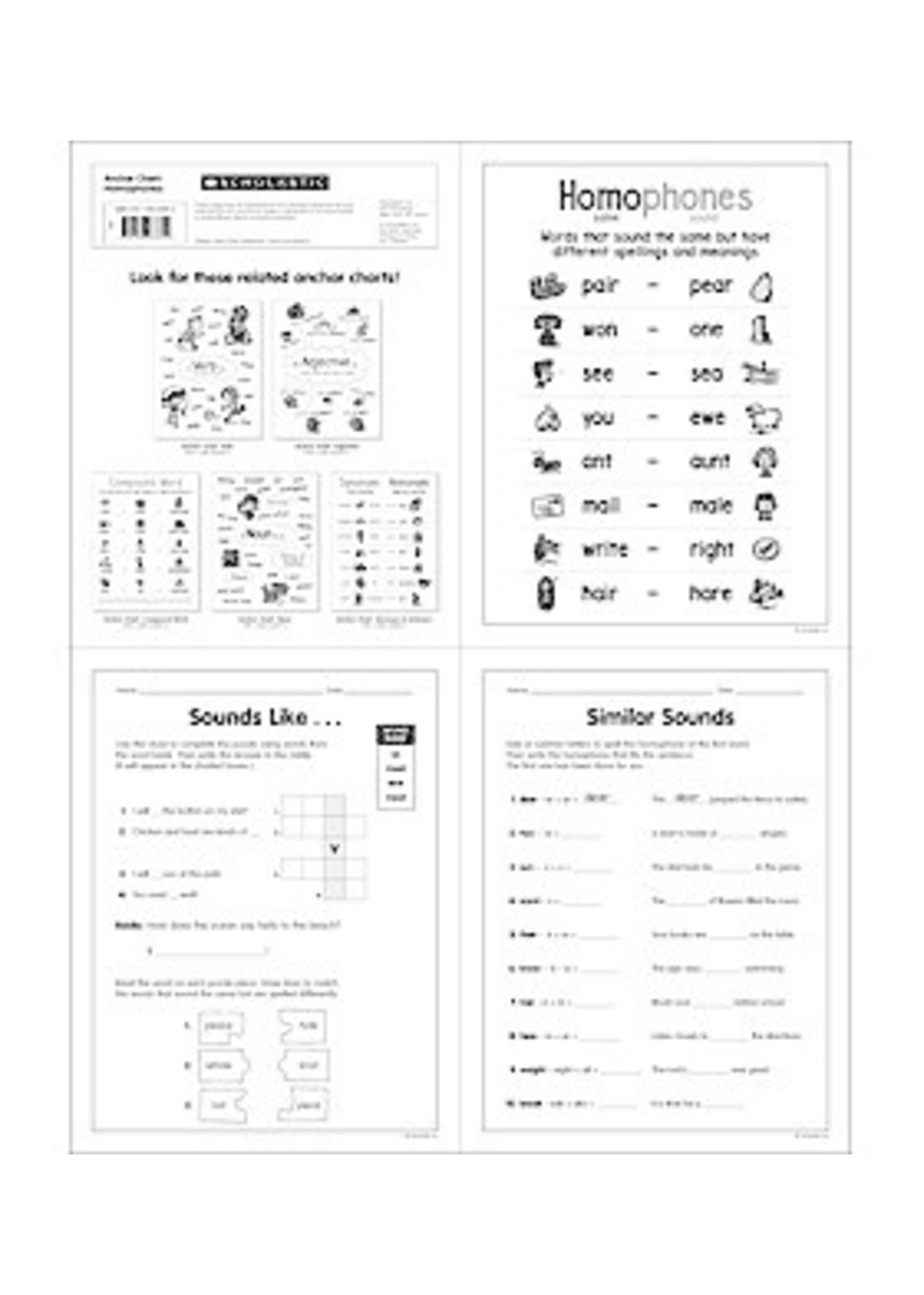CHT HOMOPHONES - Educational Outfitters