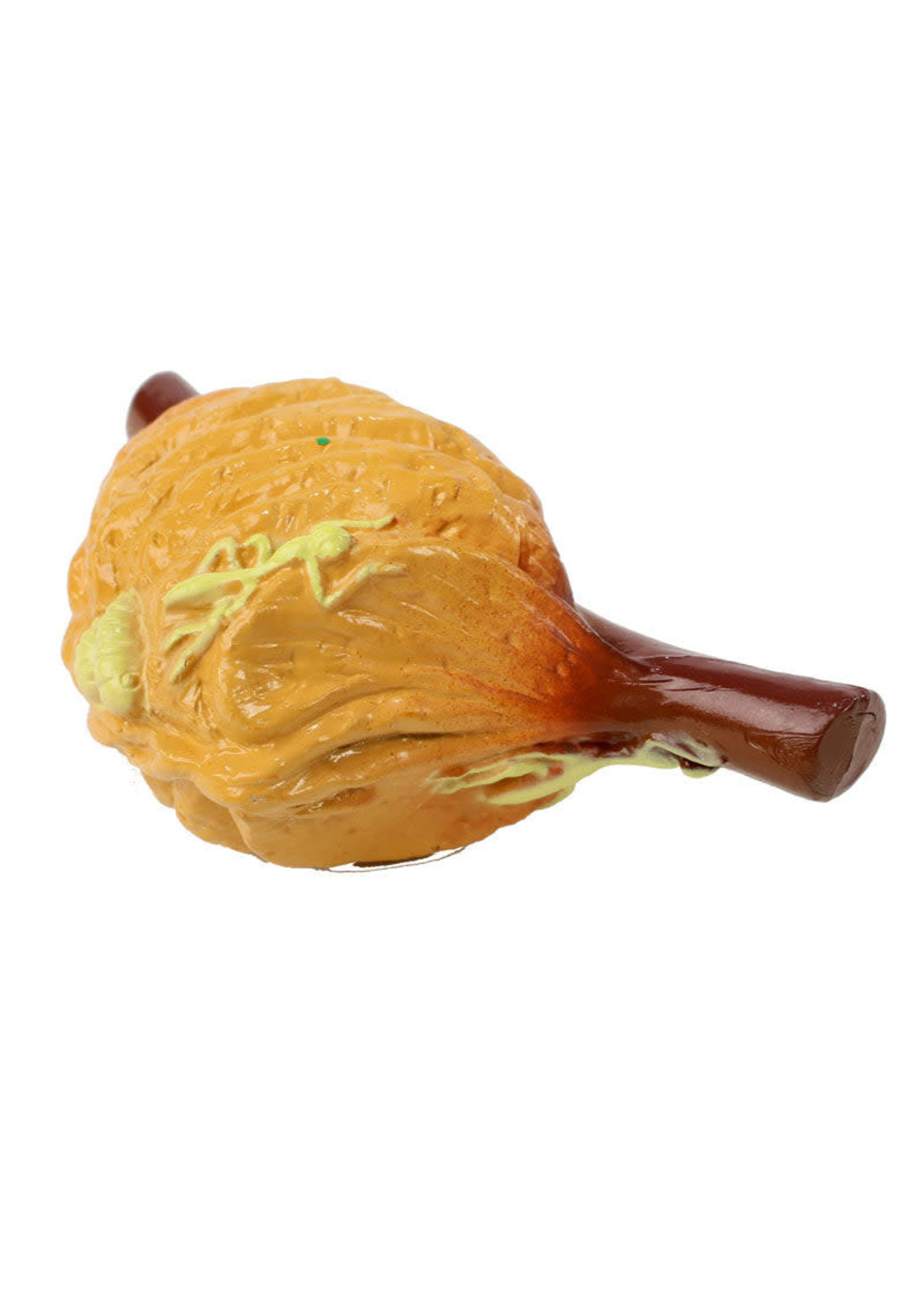 MANTIS LIFE CYCLE STAGES - Educational Outfitters