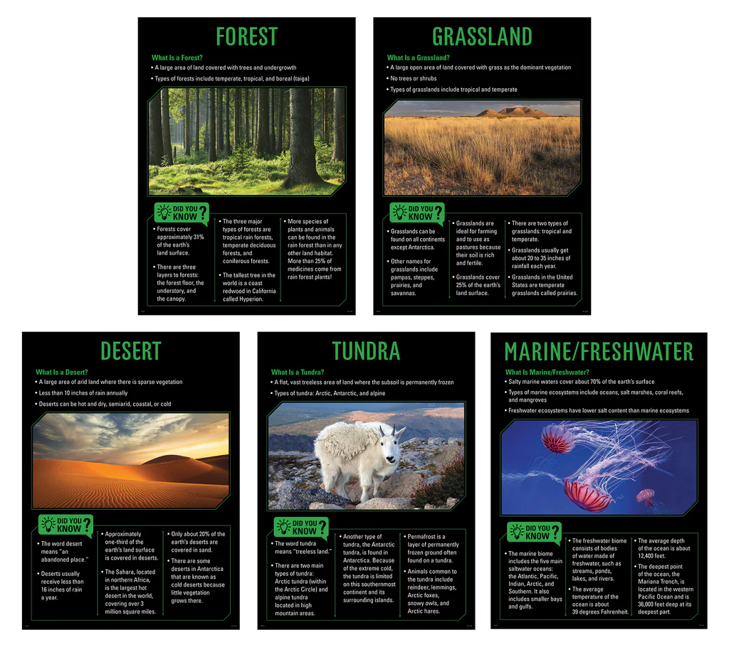 Ecosystems 5-Poster Set - Educational Outfitters