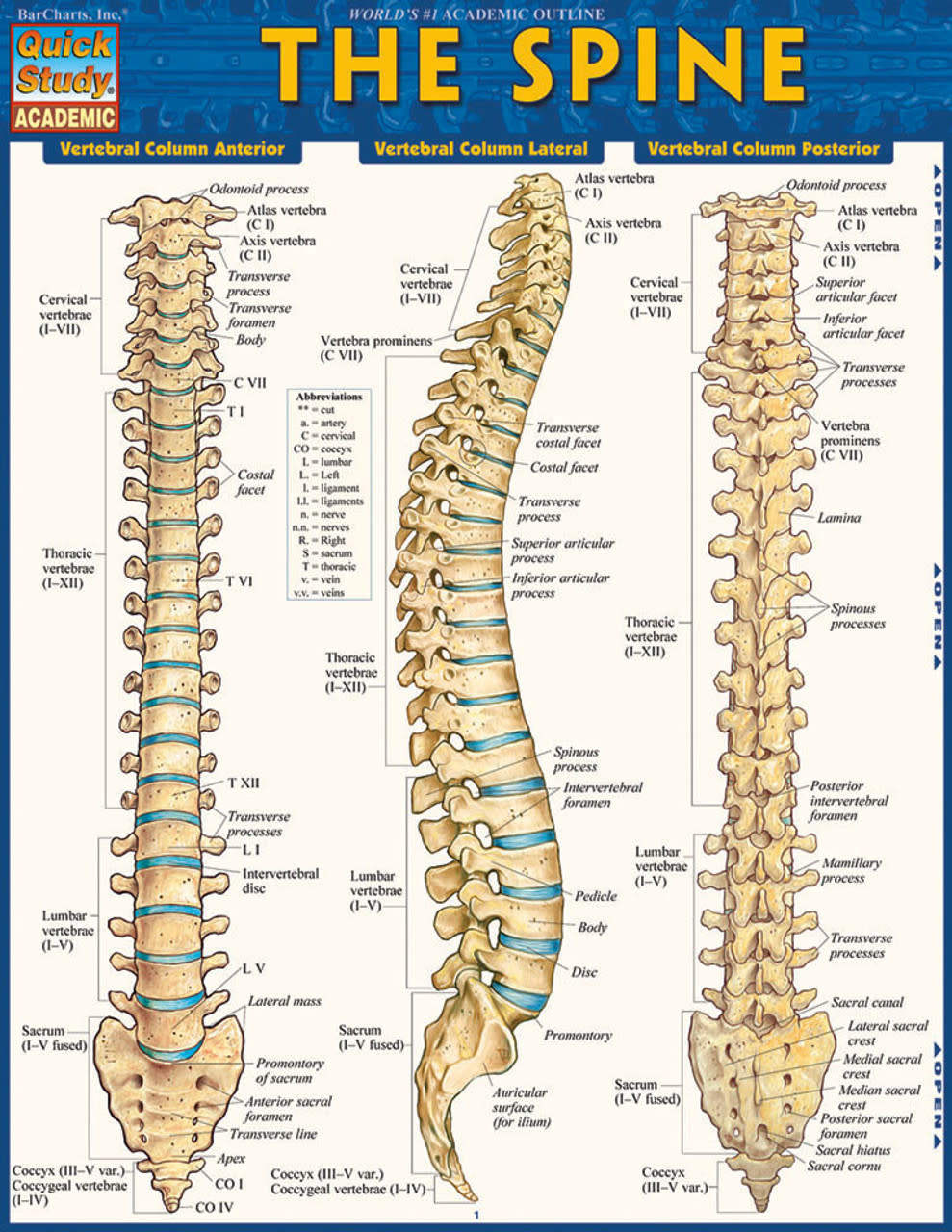 The Spine - Educational Outfitters