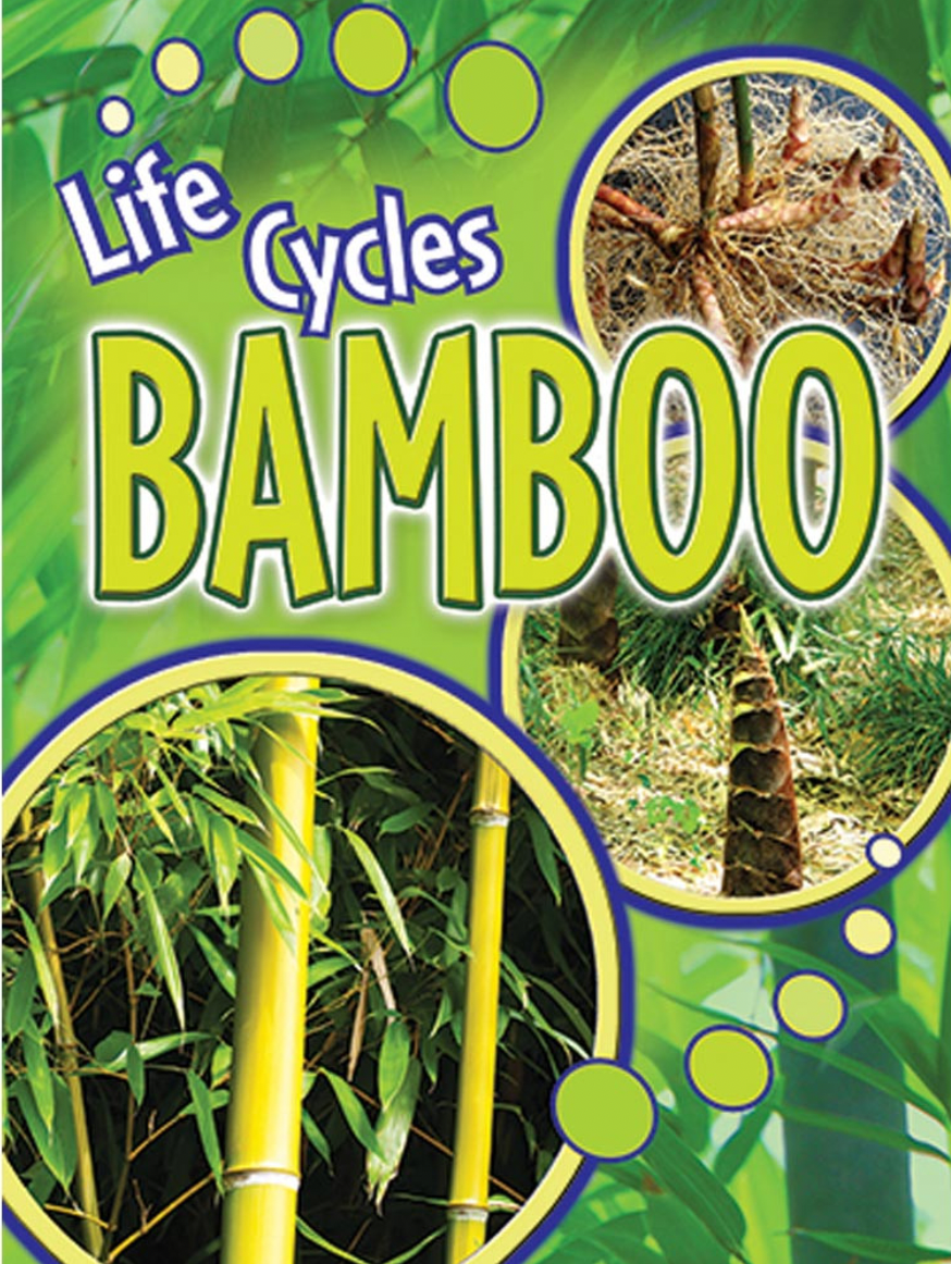 BAMBOO LIFE CYCLES 2-5 N - Educational Outfitters