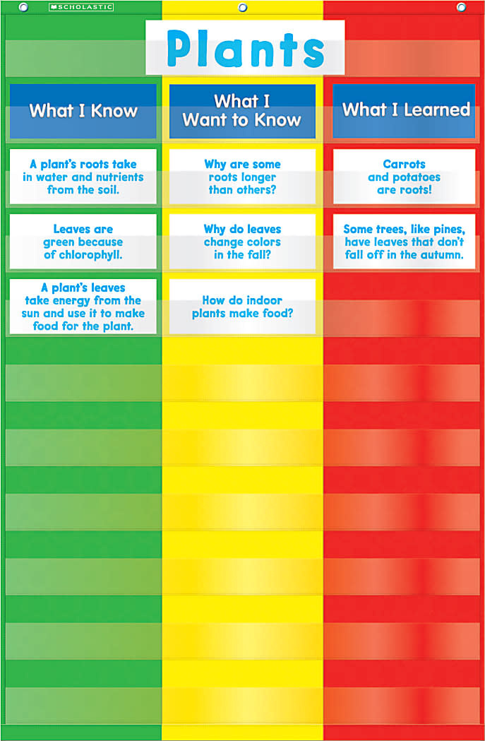 3 Column Pocket Chart - Educational Outfitters