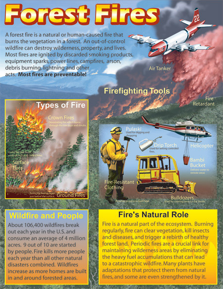 Forest Fires Poster - Educational Outfitters