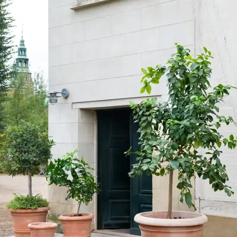 Pots/Container - The Plant Shoppe