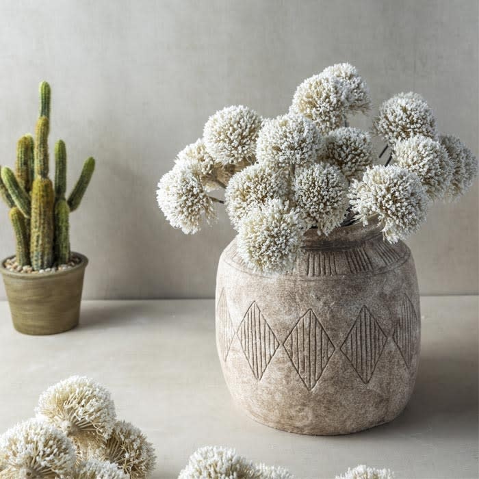 Abigail Ahern ALLIUM CREAM BUNCH - The Plant Shoppe