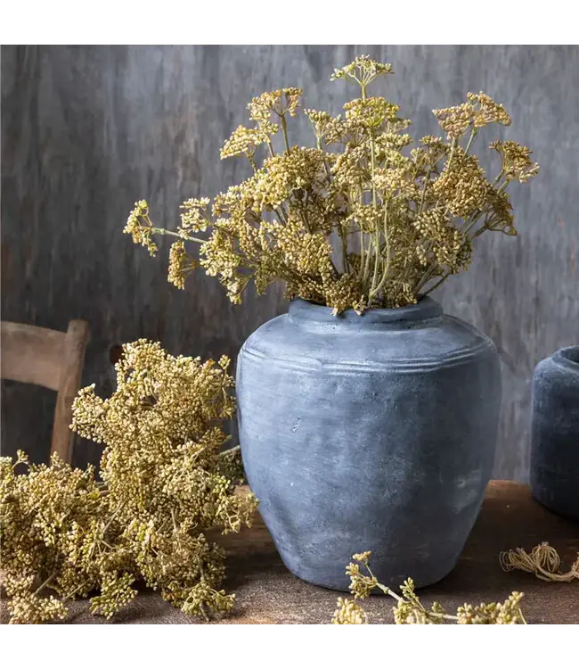 Abigail Ahern MEADOW SEDGE STEM - NATURAL - The Plant Shoppe