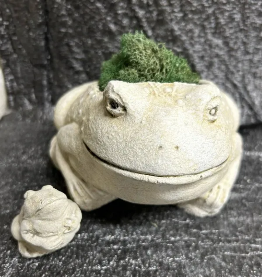 Concrete - Bullfrog Pot - The Plant Shoppe
