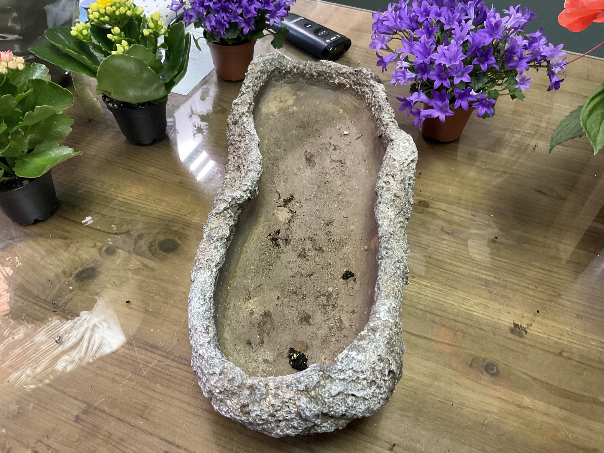 Cast Concrete Lava Stone Planter Long The Plant Shoppe in Fairhope ...