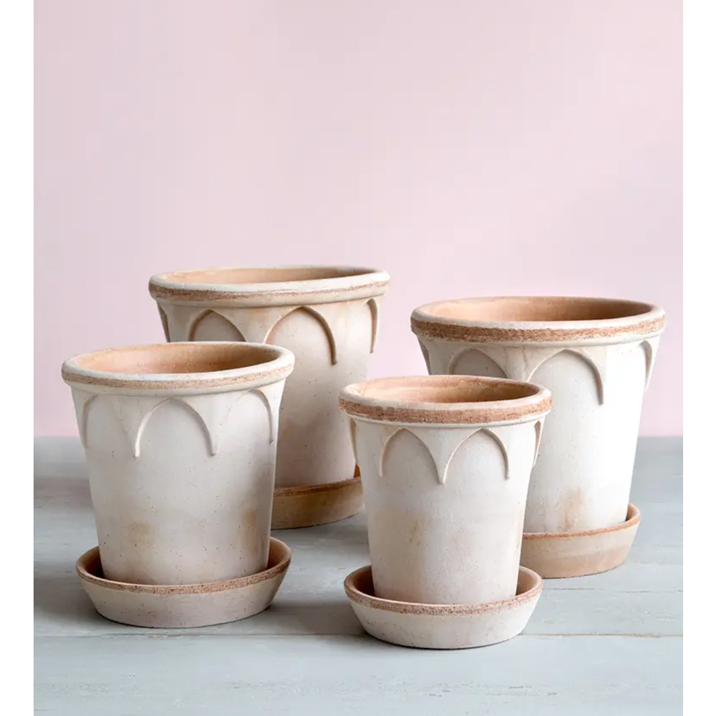 Berg Elizabeth RAW - The Plant Shoppe