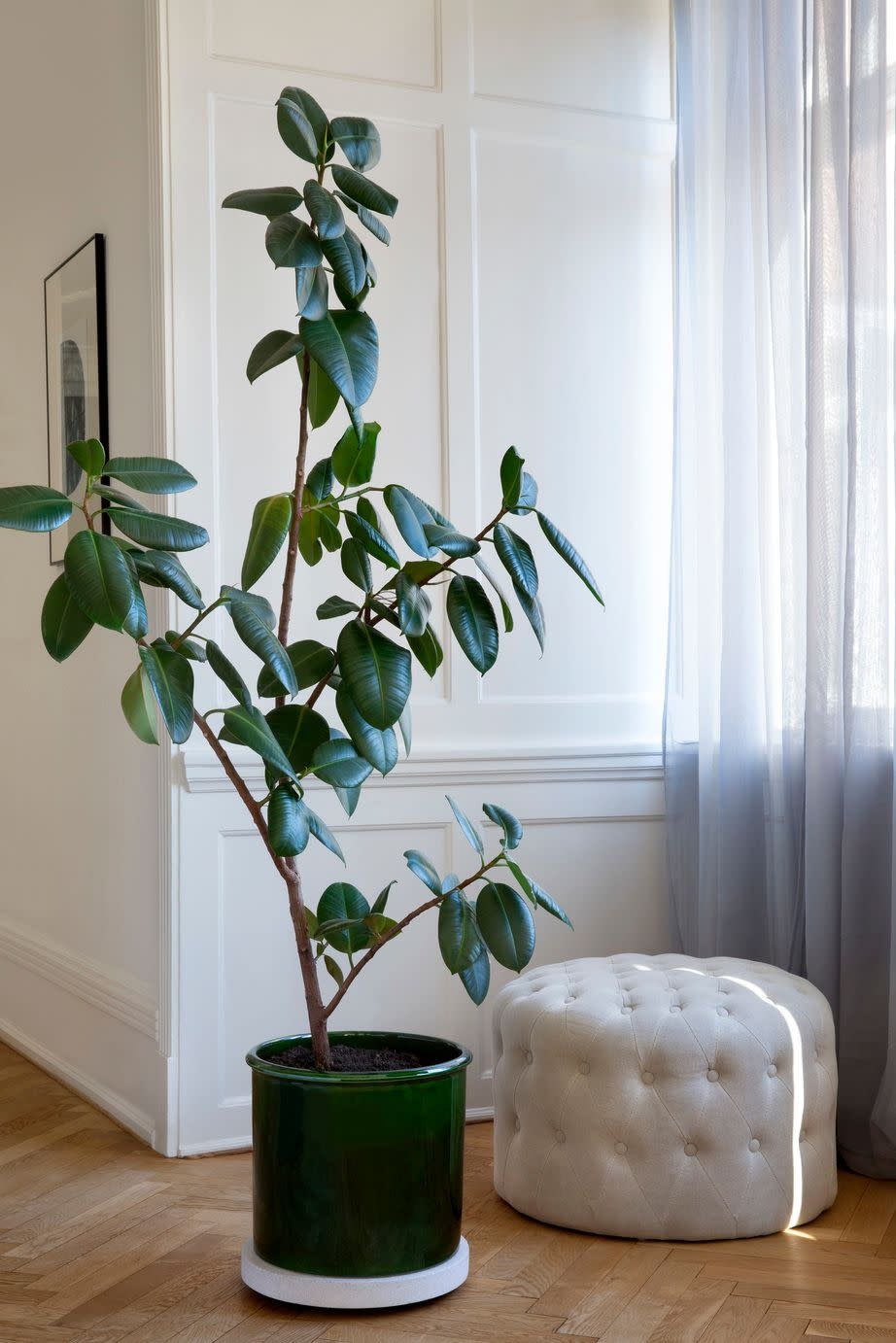 berg Berg Rolling Stone TERRAZZO Trolley - The Plant Shoppe