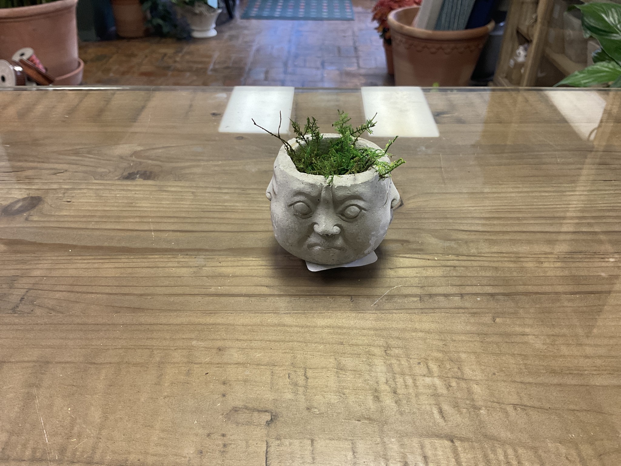 Concrete - Small Mr. Moody Pot Head - The Plant Shoppe