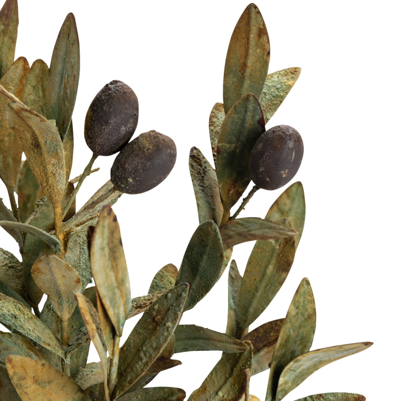 Olive Topiary Tole Potted - The Plant Shoppe