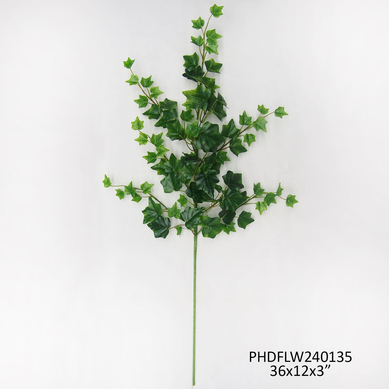 English Ivy Stem - The Plant Shoppe