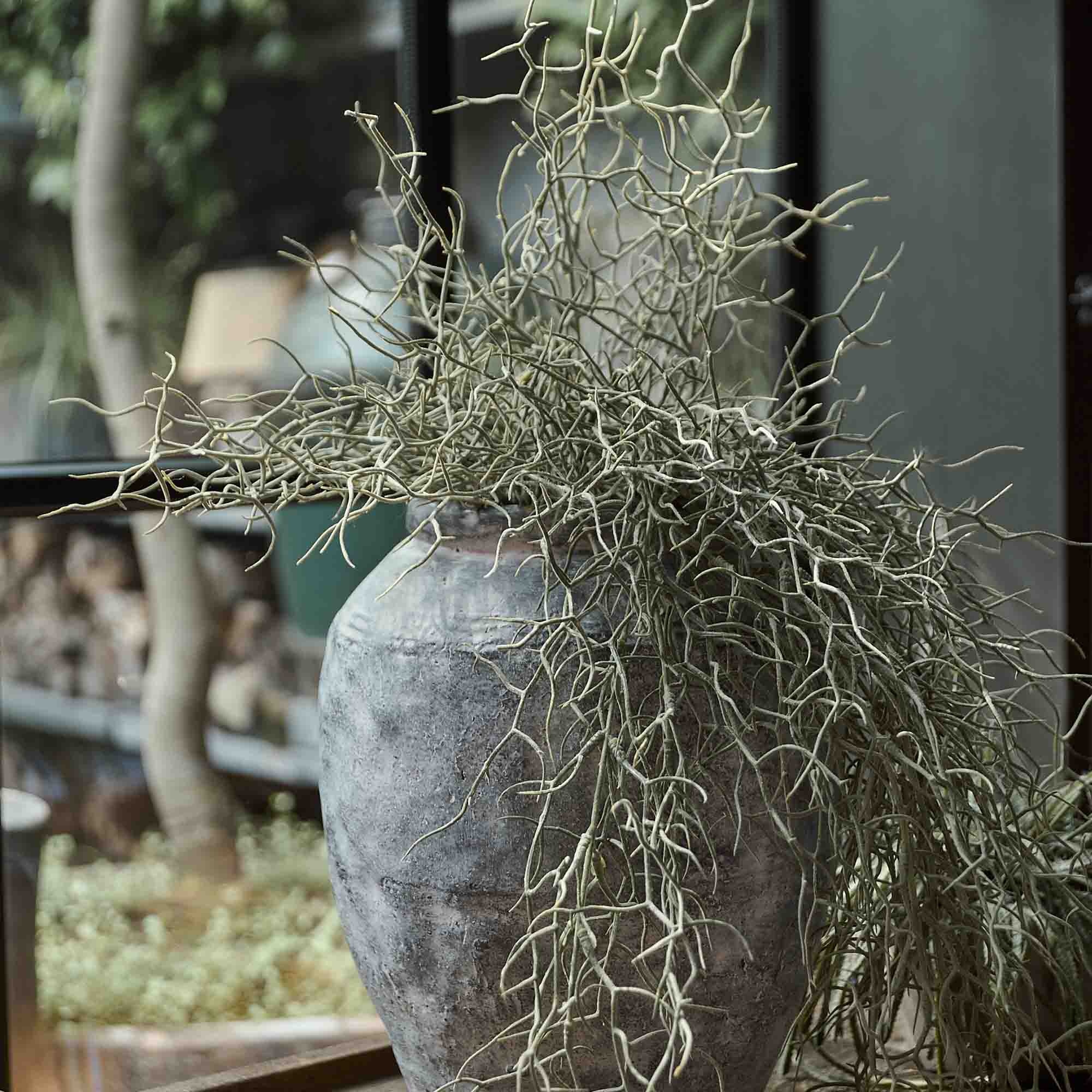 Abigail Ahern GRASS BUSH STEM - The Plant Shoppe