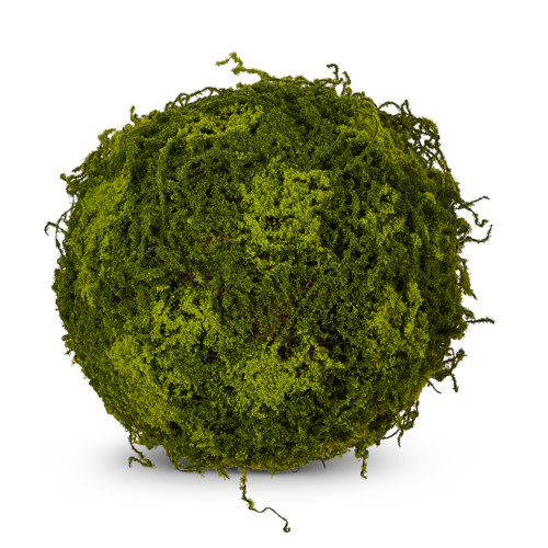 Moss Ball 12" - The Plant Shoppe