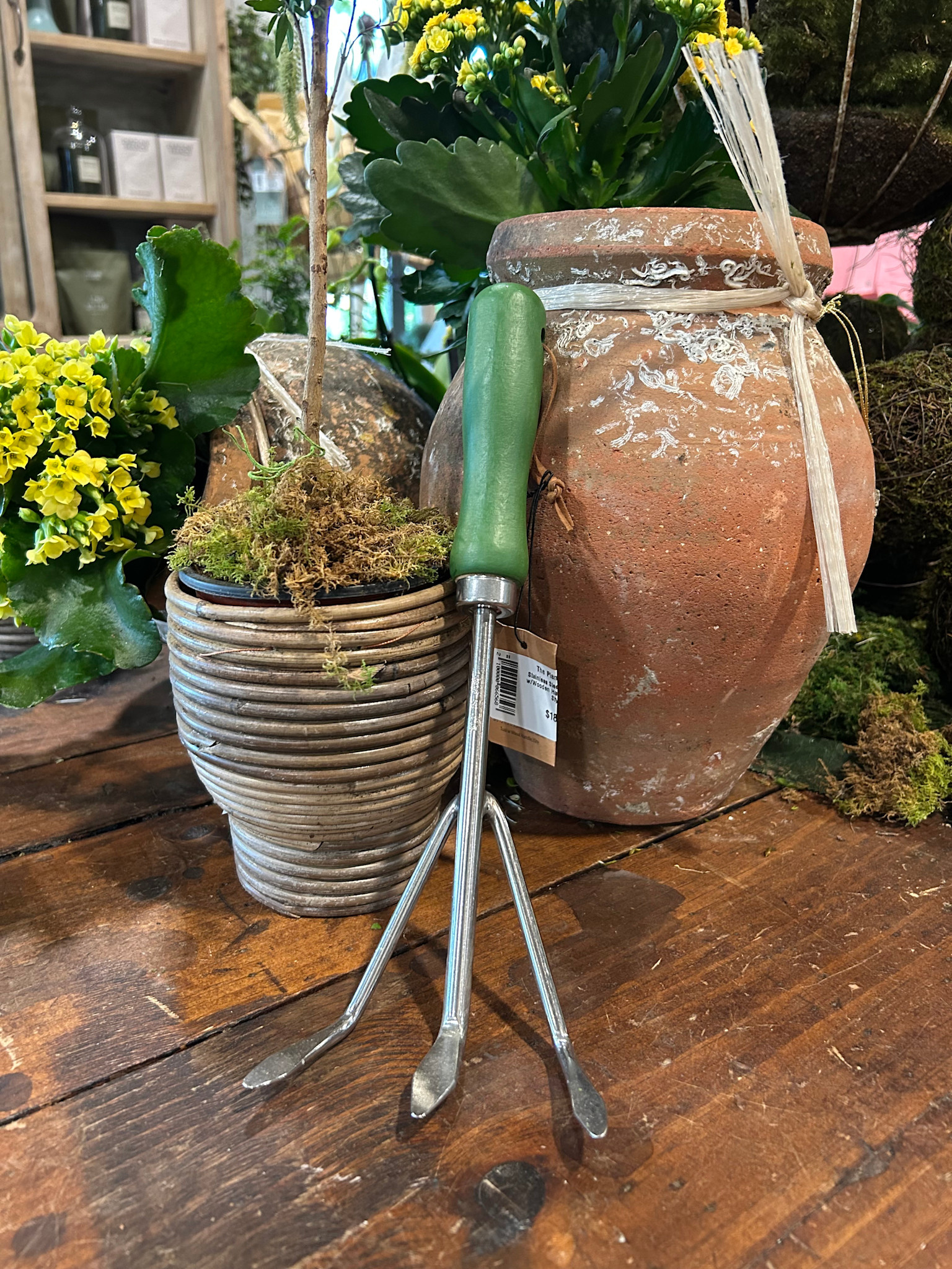 Stainless Steel Garden Tool - Trough - The Plant Shoppe