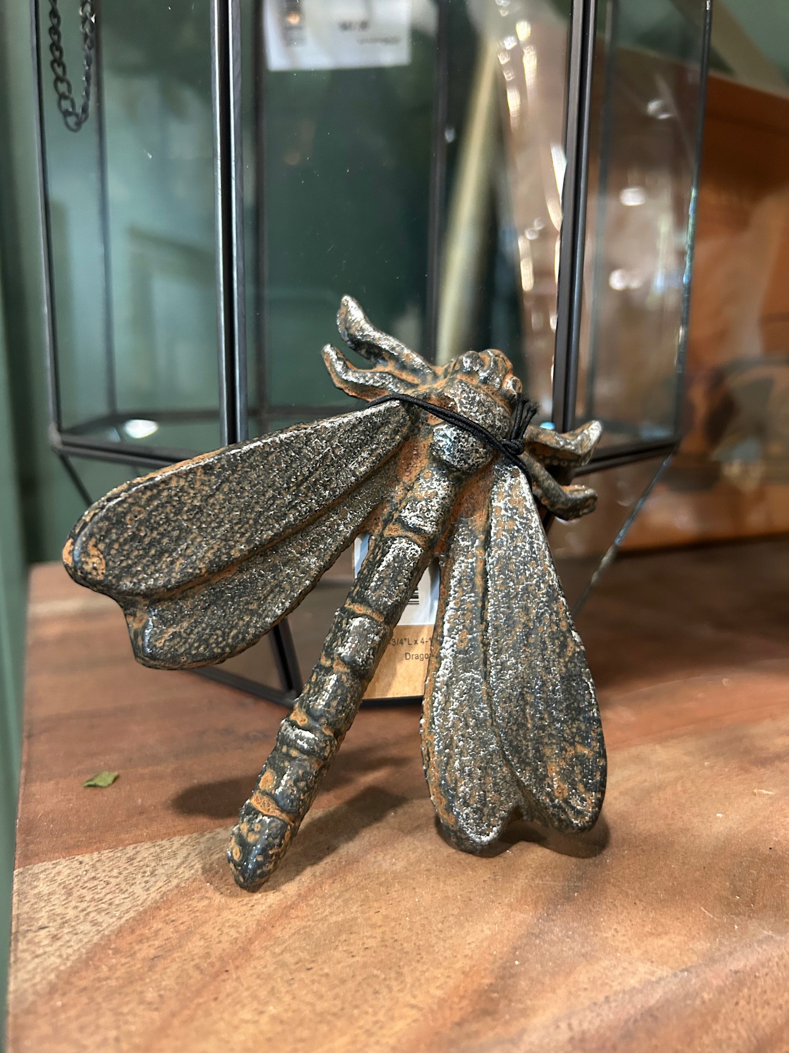 Cast Iron Dragonfly, Brown - The Plant Shoppe
