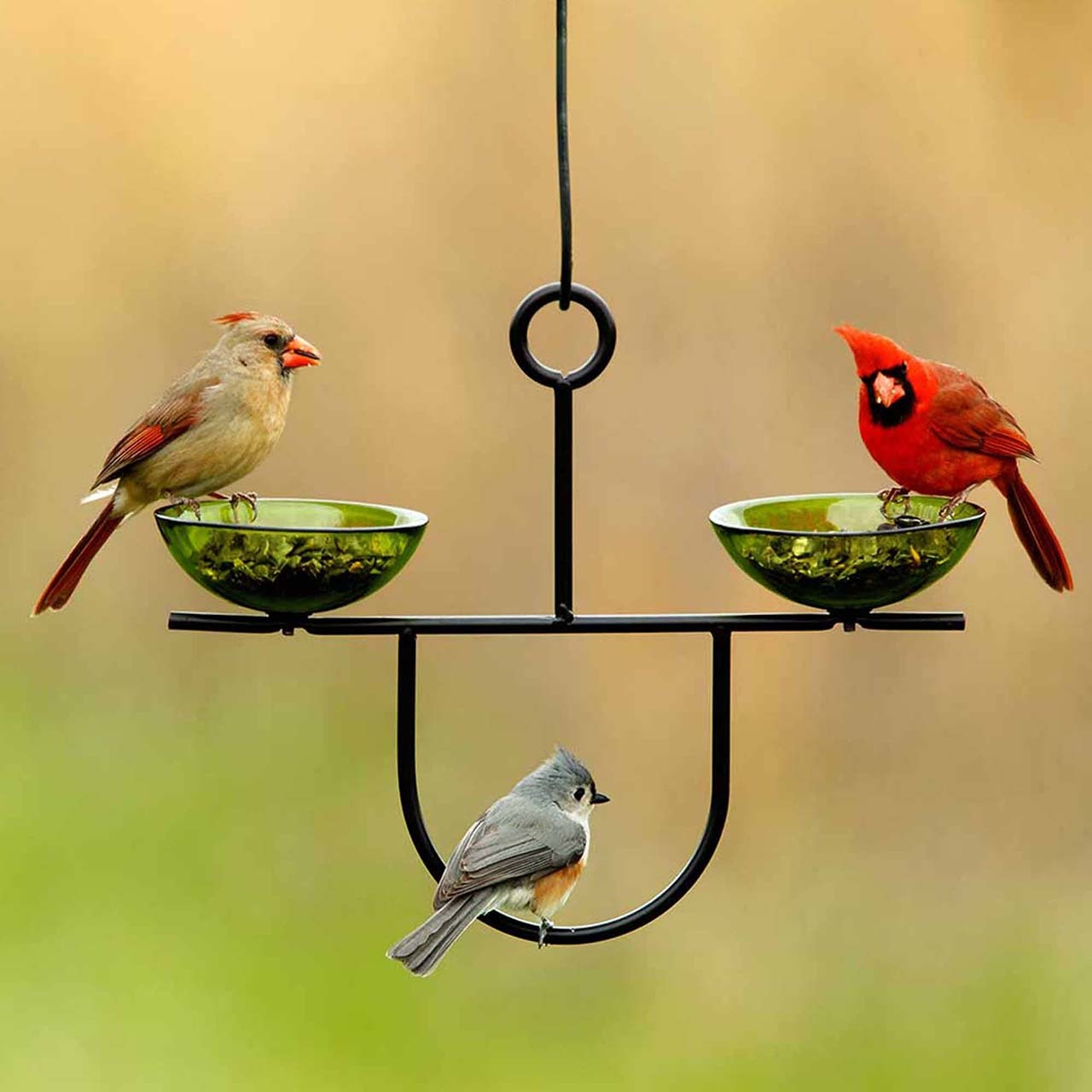 Side By Side Poppy Feeder Lime - The Plant Shoppe