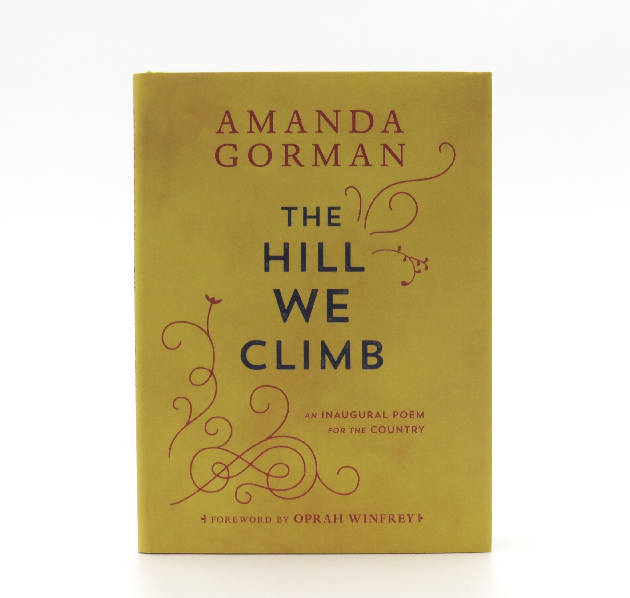 Amanda Gorman The Hill we Climb - Peepa's