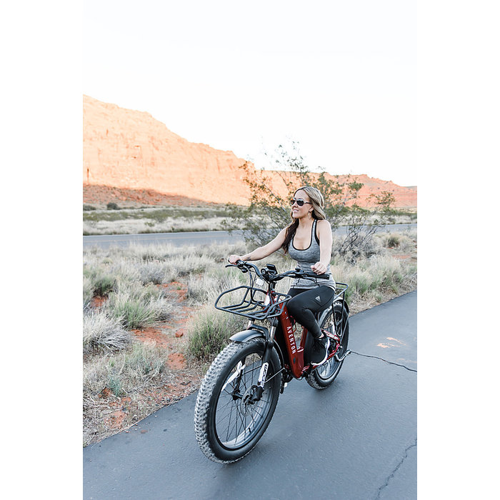 Aventon - Aventure Front Rack - Black - One Size Fits All - CFB Bike Shop