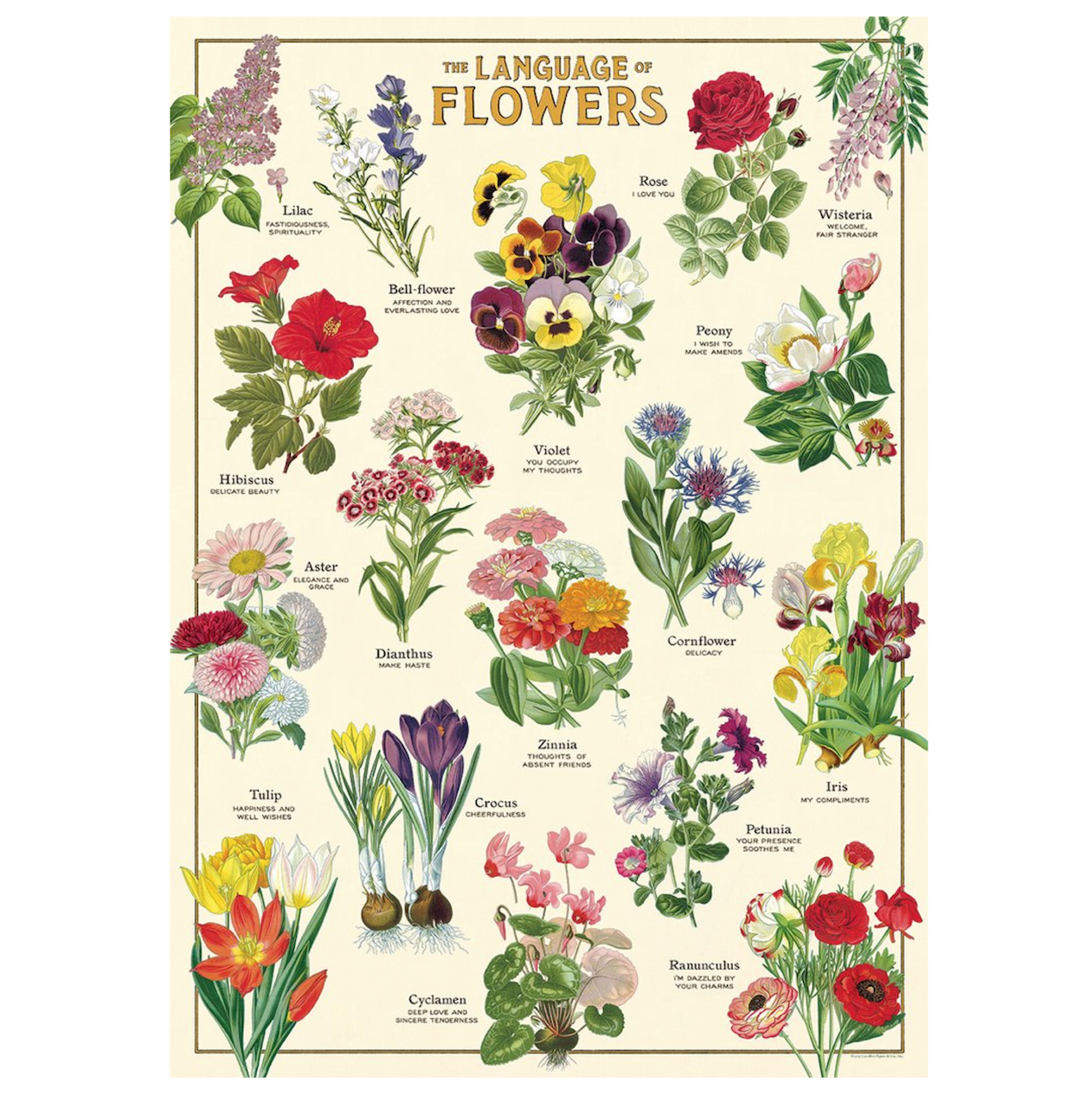 *CHART-LANGUAGE OF FLOWERS - Garden of the Gods Trading Post