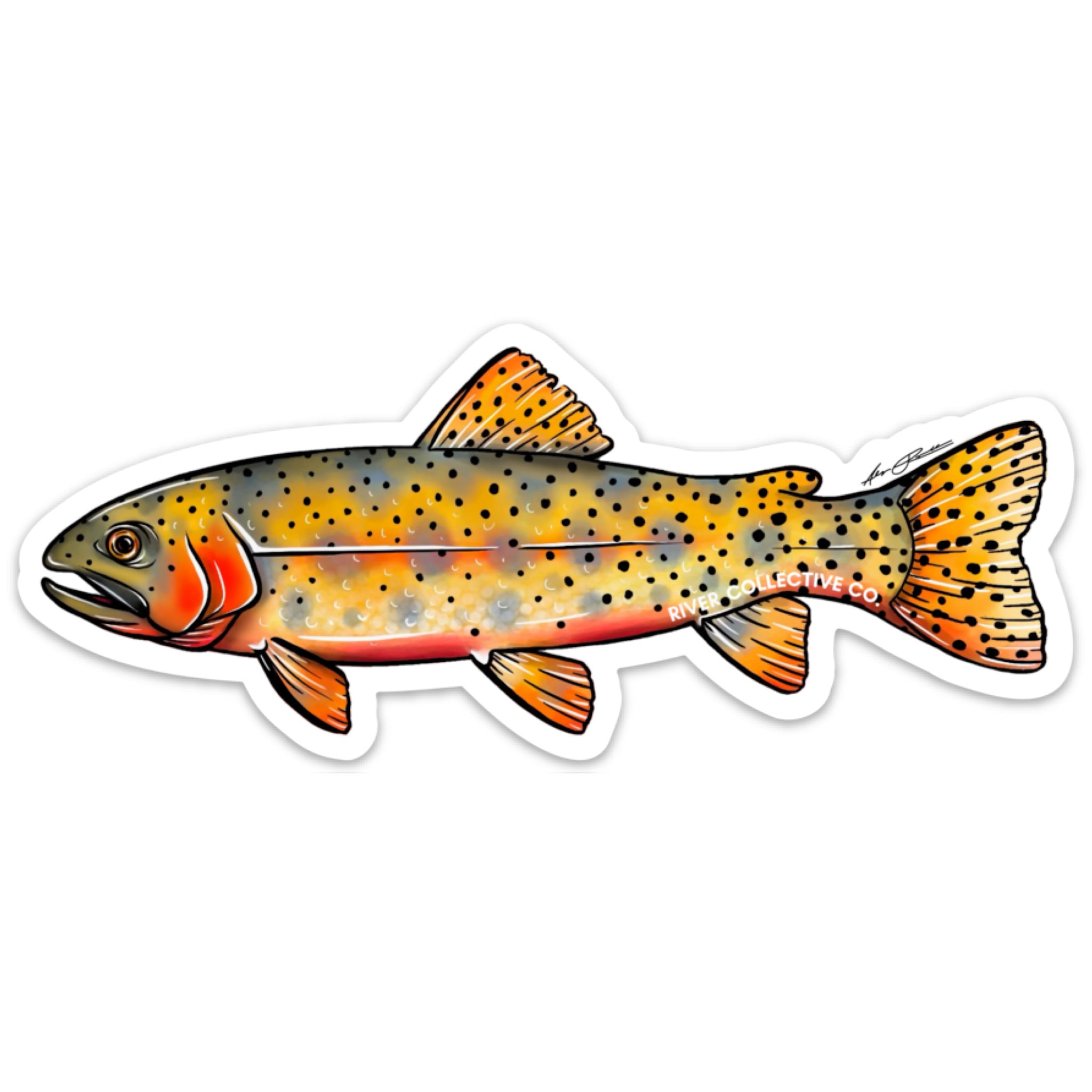 STKR-TROUT CUTTHROAT JUVENILE - Garden of the Gods Trading Post