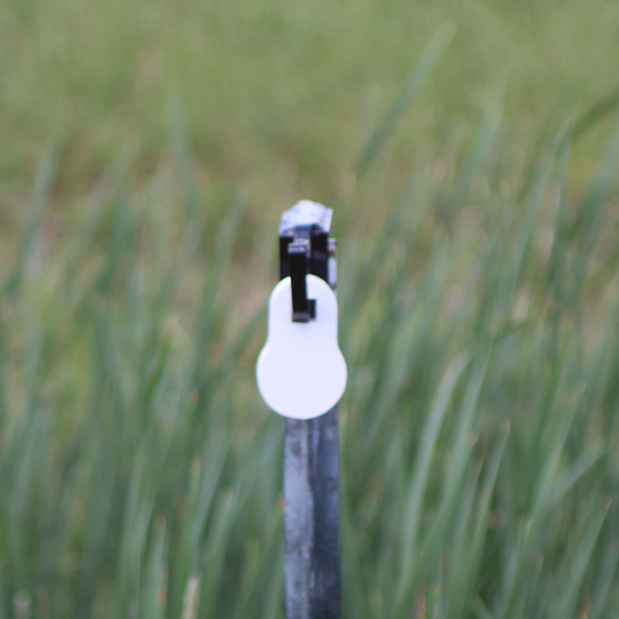 AR500 STEEL RIFLE TARGET, 1/2”, ROUND GONG, 2”, WHITE - Engage Precision