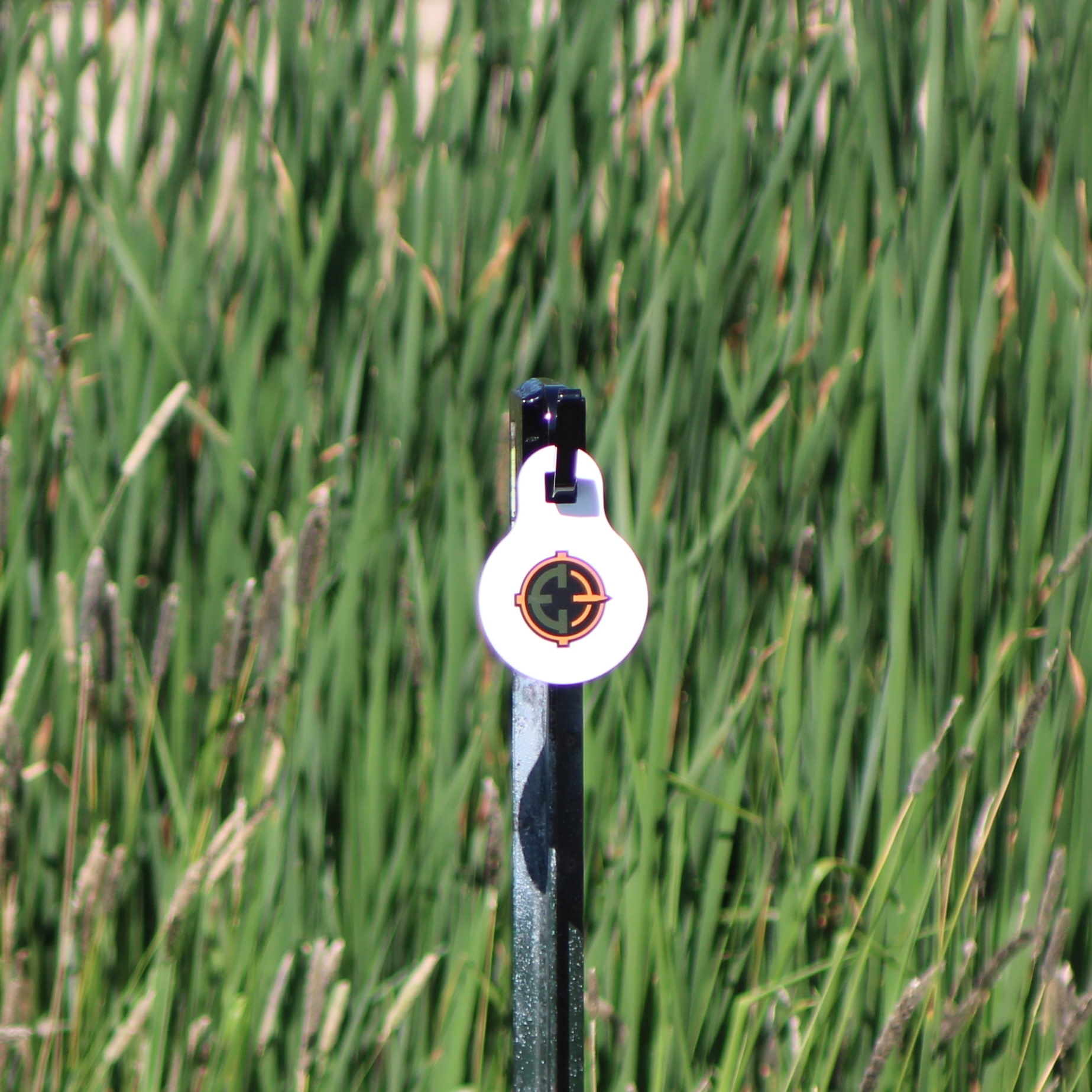 AR500 STEEL RIFLE TARGET, 1/2”, ROUND GONG, 3”, WHITE - Engage Precision