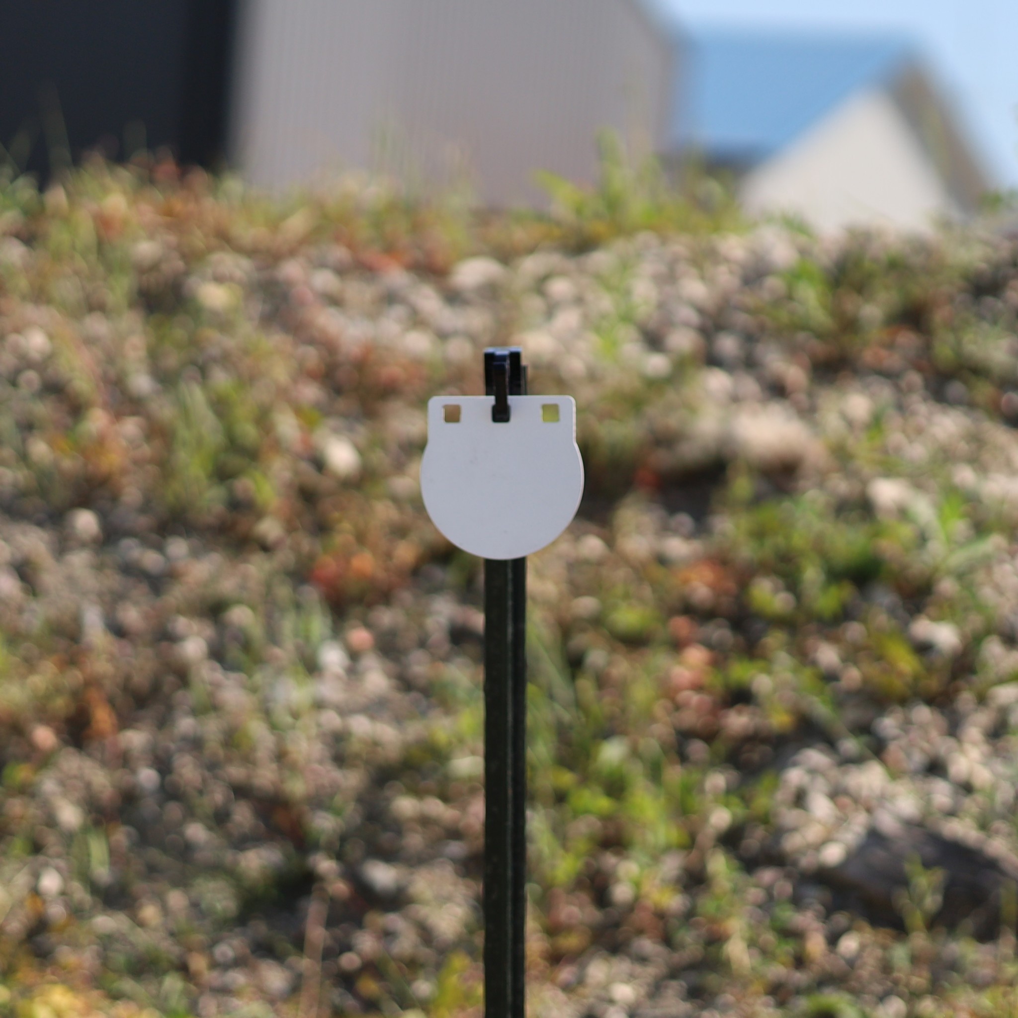 AR400 STEEL RIMFIRE TARGET, 1/4”, ROUND GONG, 5”, WHITE - Engage Precision