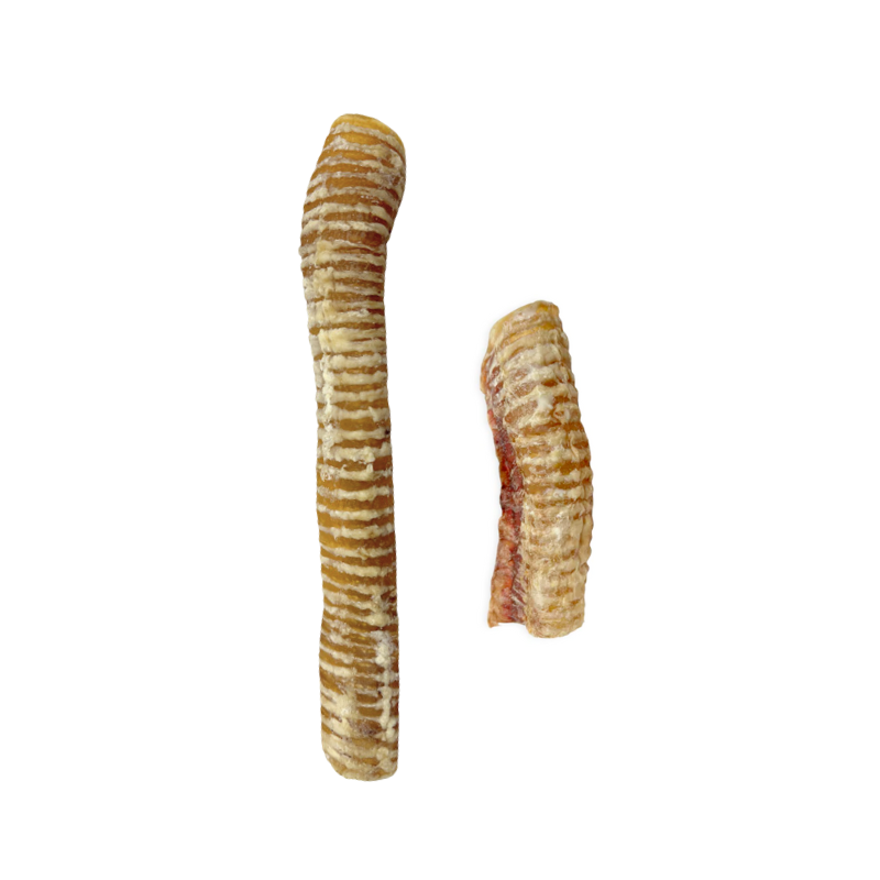6" or 12" - Smoked Beef Trachea - Chasing Our Tails - Katzenbarkers ...