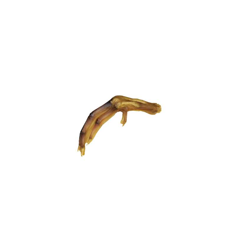 Individual - Duck Foot - Oven Roasted Treats - Chasing Our Tails ...