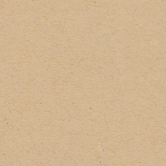 My Colors 12x12 Cardstock, Kraft - Memories and More
