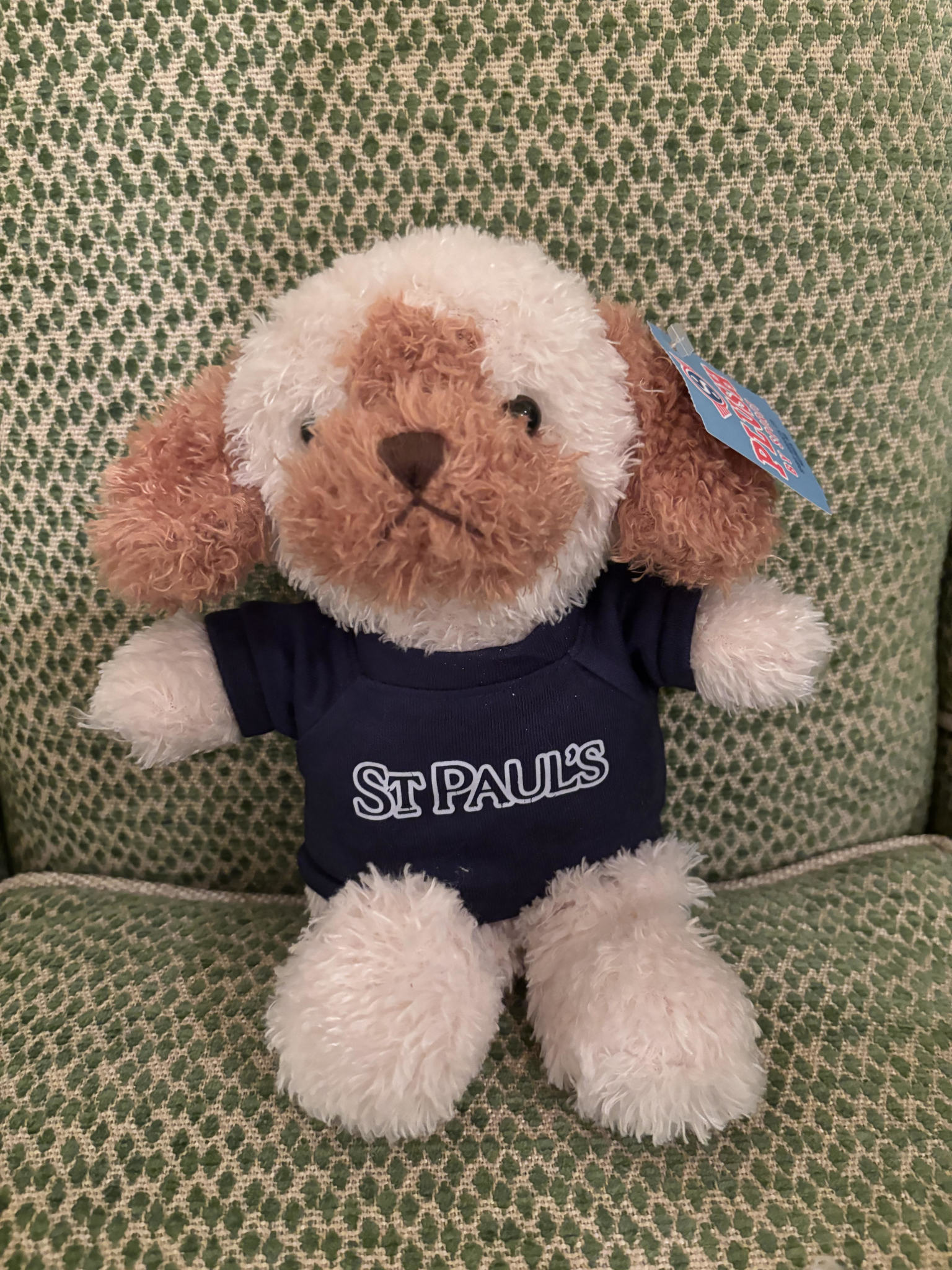 Spirit Puppy Plush St Pauls - The St. Paul's Schools Store