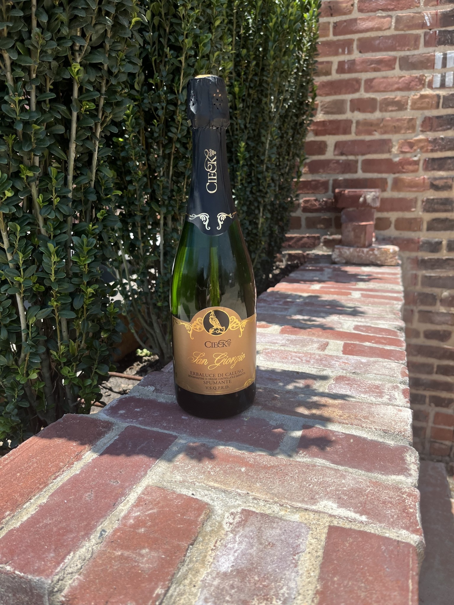Cieck Sparkling San Giorgio Erbaluce di Caluso DOCG Spumante (2018 ...