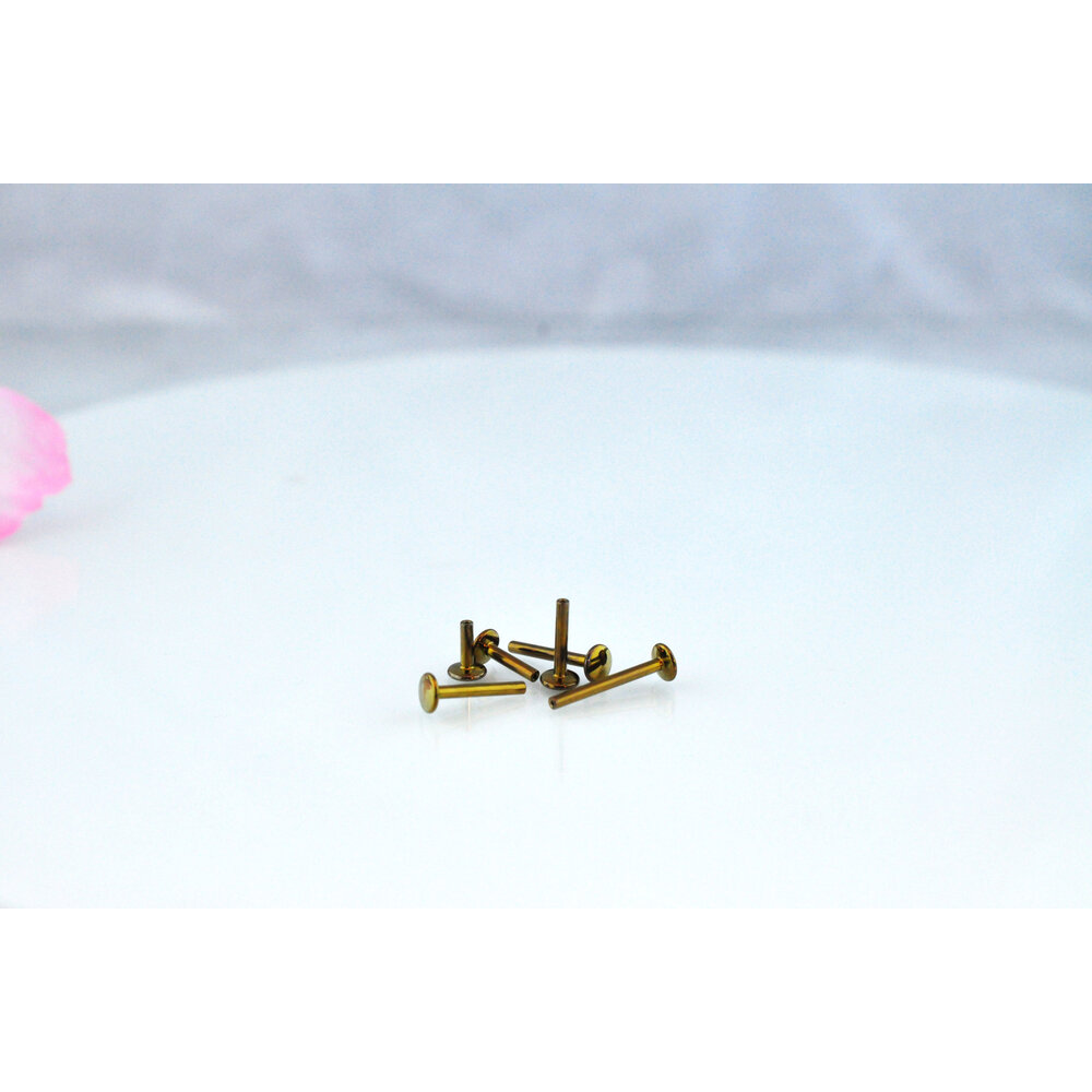 16g Threadless Flatback - Prysm Jewelry & Piercing