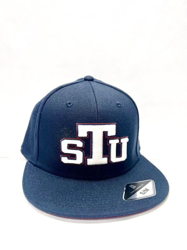 St. Thomas University - St. Thomas University, Inc.