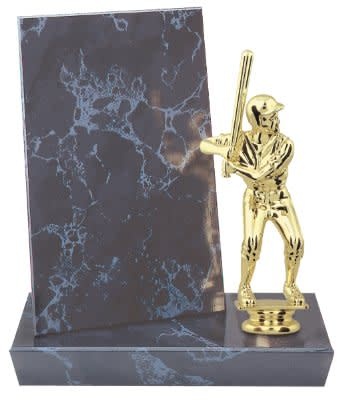 JDS Industries BKS81 Standing plaque with trophy topper - The Award ...