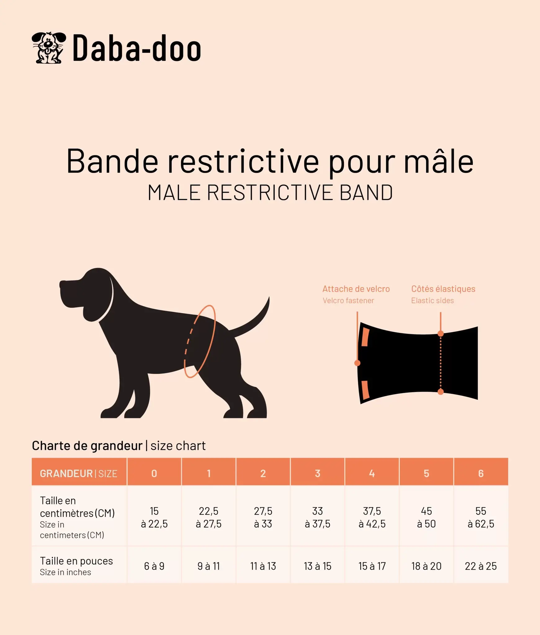 DABA-DOO BANDE RESTRICTIVE POUR MALE - Distribution Gilles St-Jean Inc